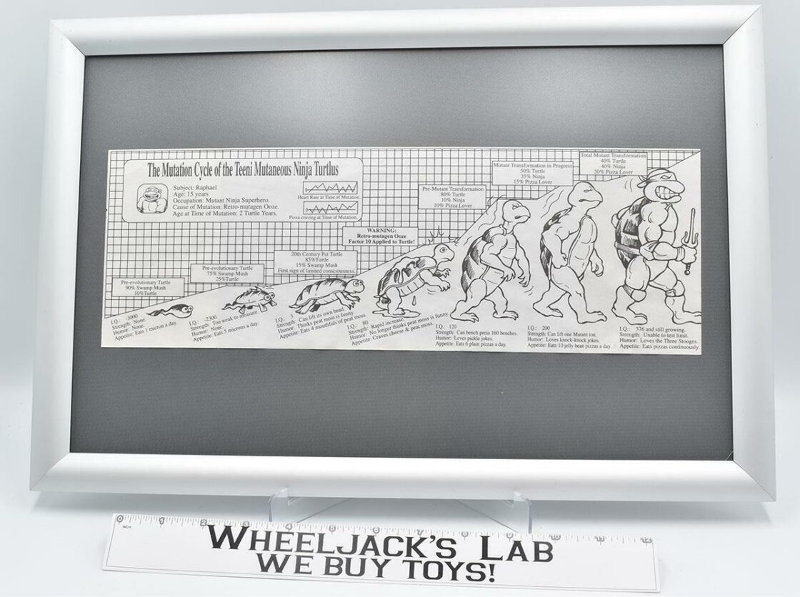Teenage Mutant Ninja Turtles Mutations Chart Raphael Playmates 1992 ...