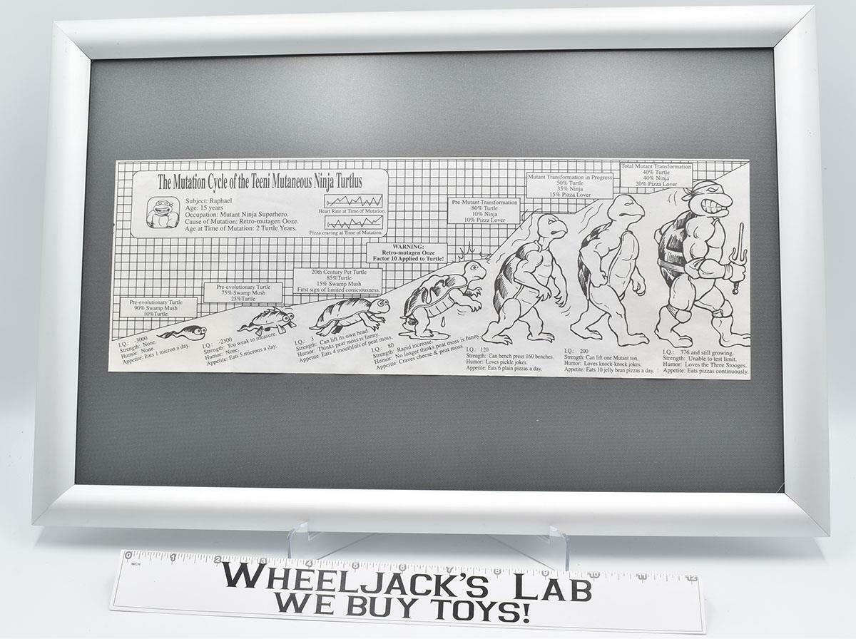 Teenage Mutant Ninja Turtles Mutations Chart Raphael Playmates 1992 ...