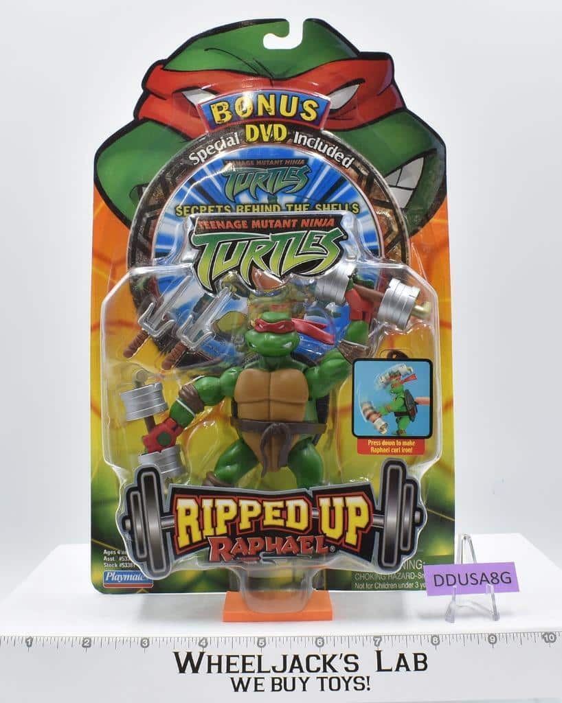 Ripped Up Raphael Teenage Mutant Ninja Turtles TMNT 2004 Playmates MOSC ...