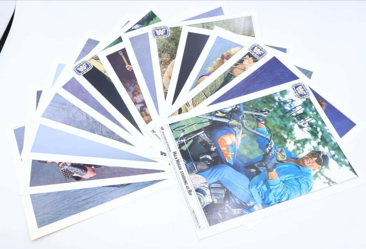 WWF (14) Color Promo Photos 1989 Fan Club Member Official 8 x 10 Hulk ...