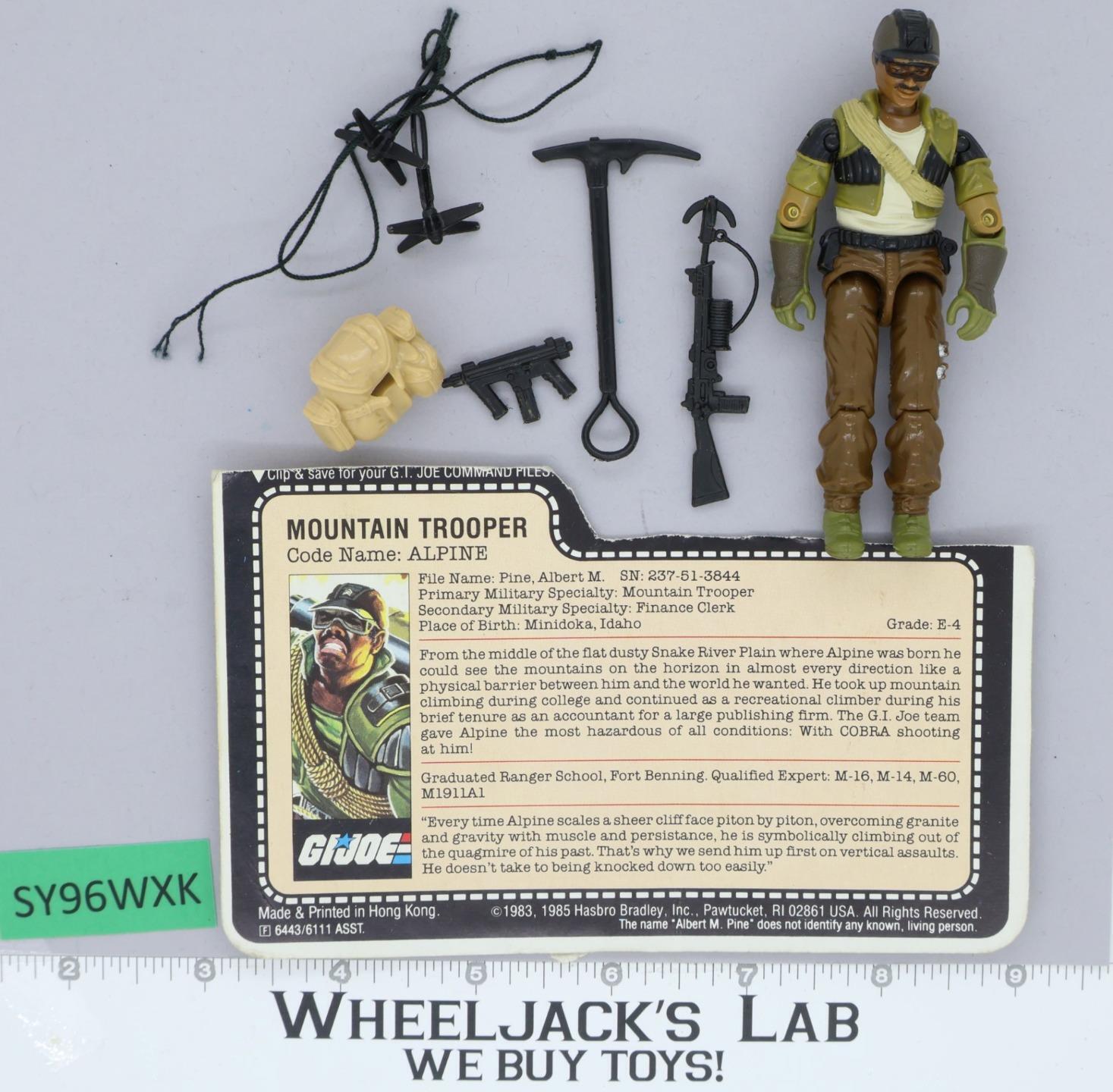 Alpine V1 100% Complete G.I. Joe 1985 Hasbro Vintage Action Figure ...