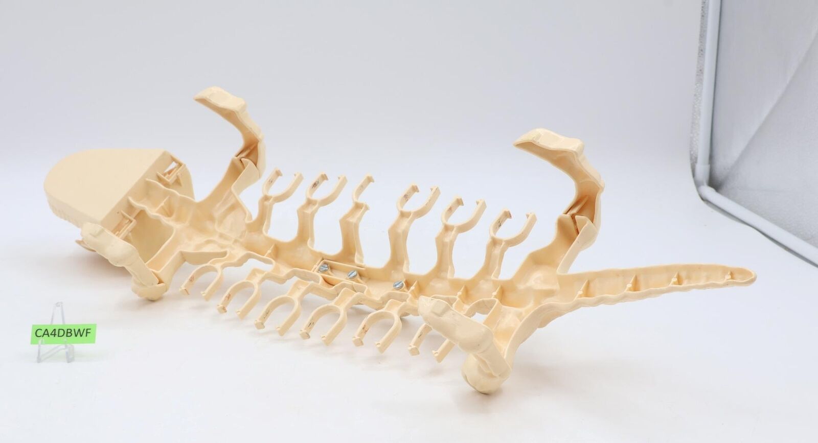 Battle Bones Complete He-Man Masters of the Universe MOTU 1985 Mattel ...