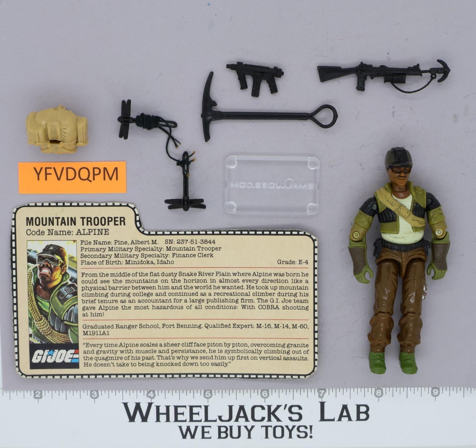 Alpine V1 100% Complete G.I. Joe 1985 Hasbro Vintage Action Figure ...