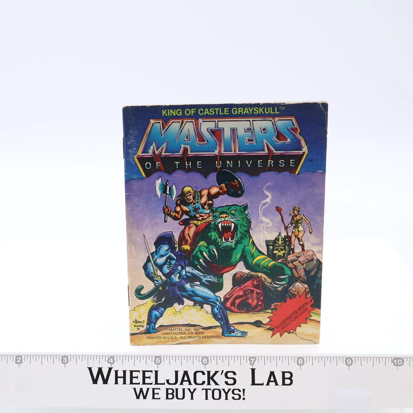 King of Castle Grayskull Mini Comic 1981 He-Man Masters of the Universe ...